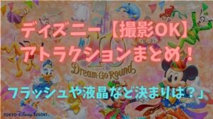 ディズニー【撮影OK】アトラクション！フラッシュや液晶など決まりは？ | TrendDisneyFreedom