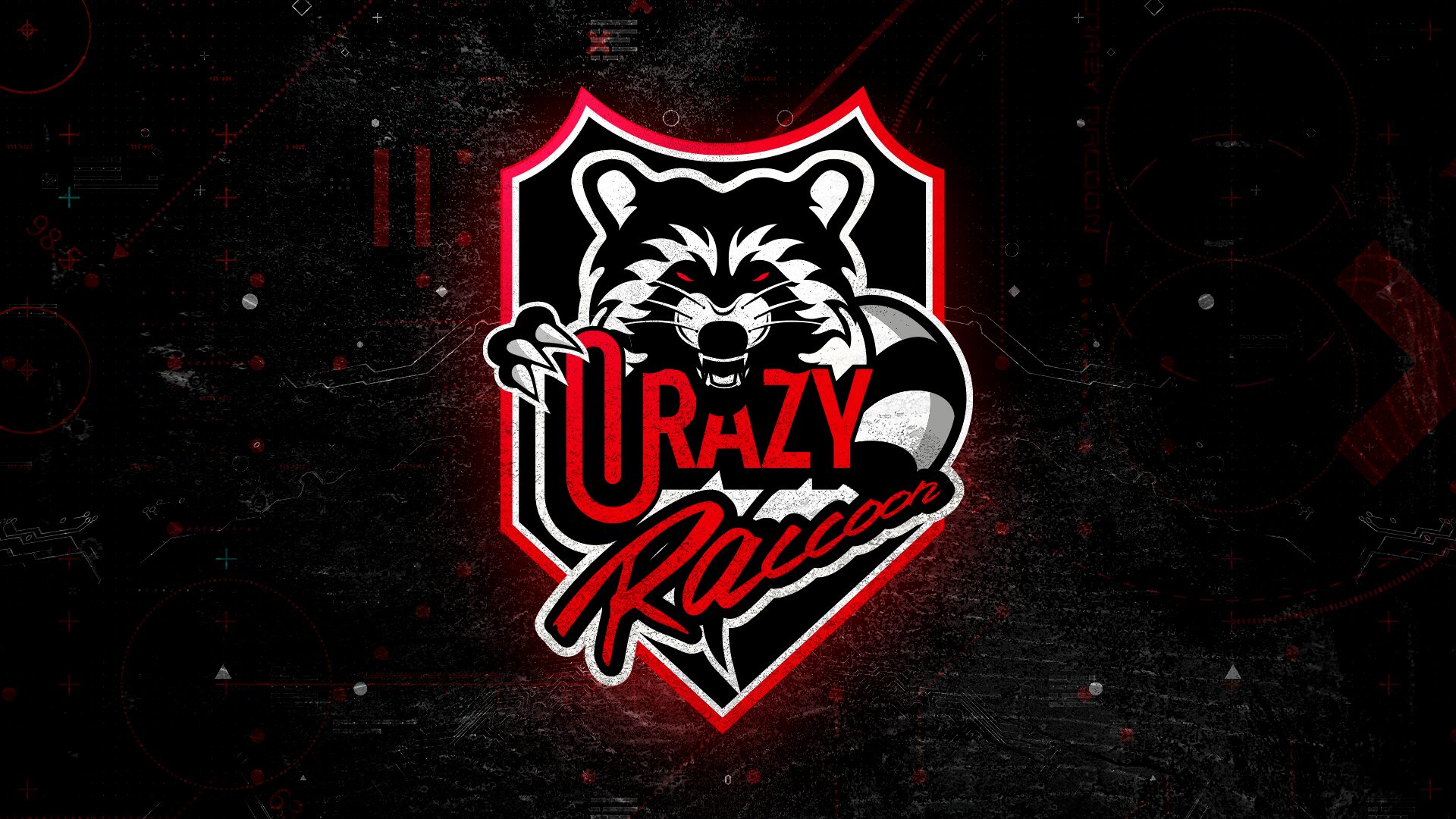 Crazy Raccoonに女性メンバーはいる？噂の正体は誰で男性の可能性も？ – TrendDisneyFreedom